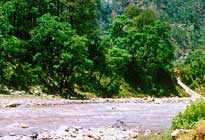 Shikhar Nature Resort Uttarkashi,Shikhar Nature Resort Village Gawana ...